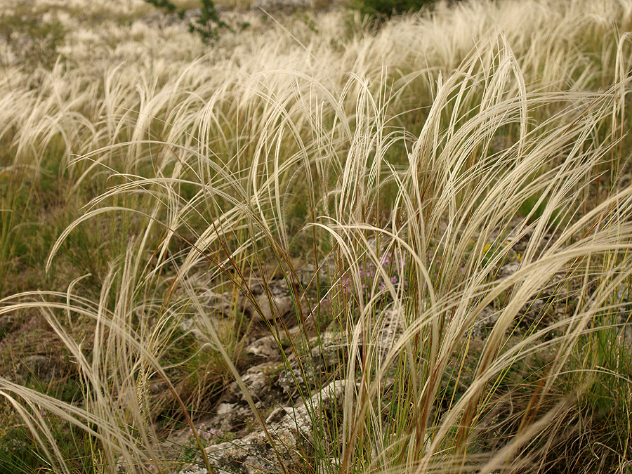 FotoBlogul lui Mihai C.: Colilia din Cheile Tureni