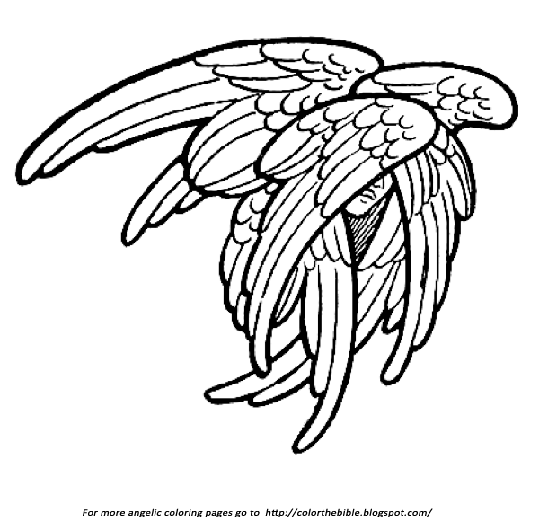 Six Winged Cherubim | Color The Bible
