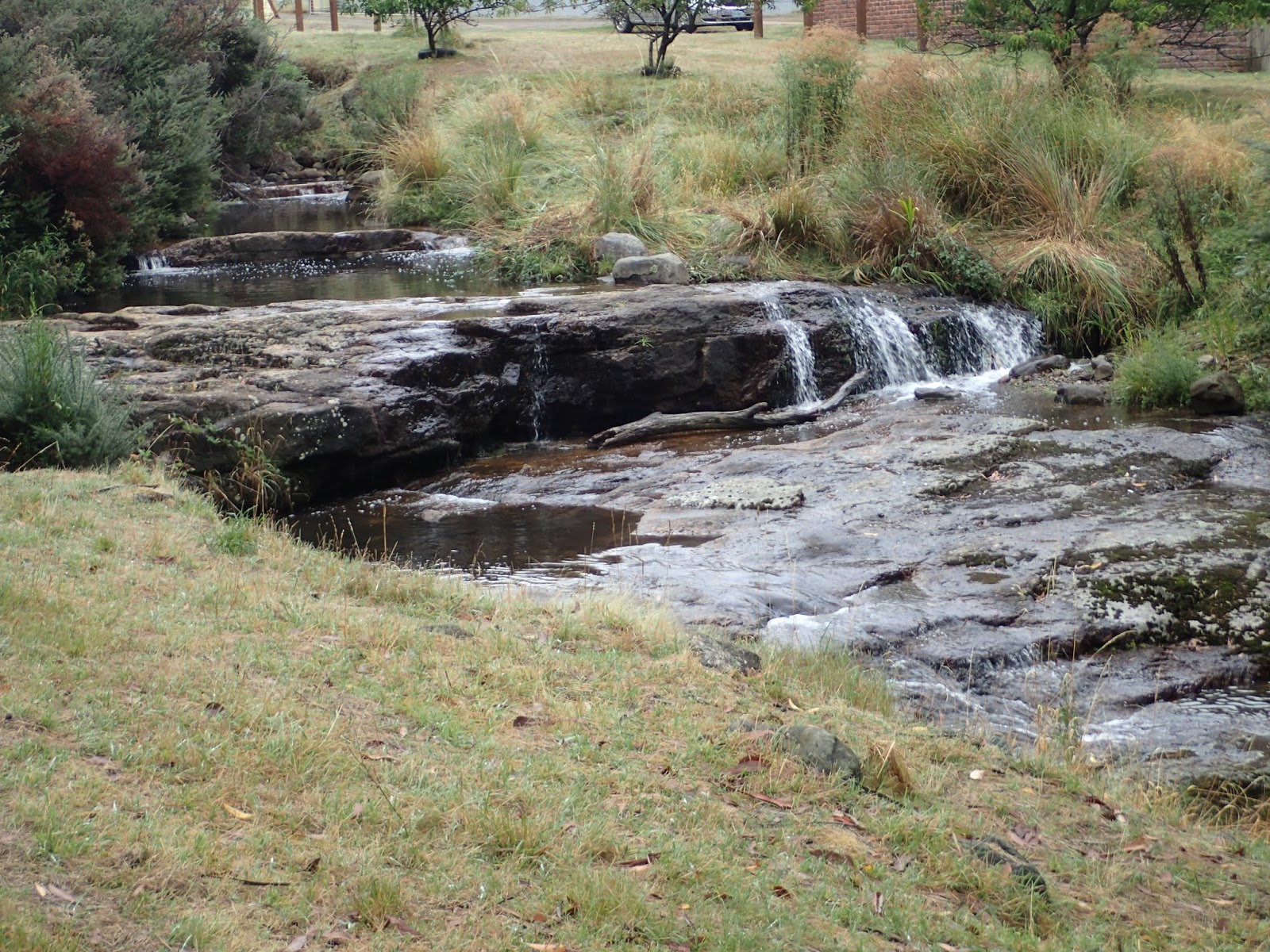 New Town Rivulet Circuit | Hiking South East Tasmania