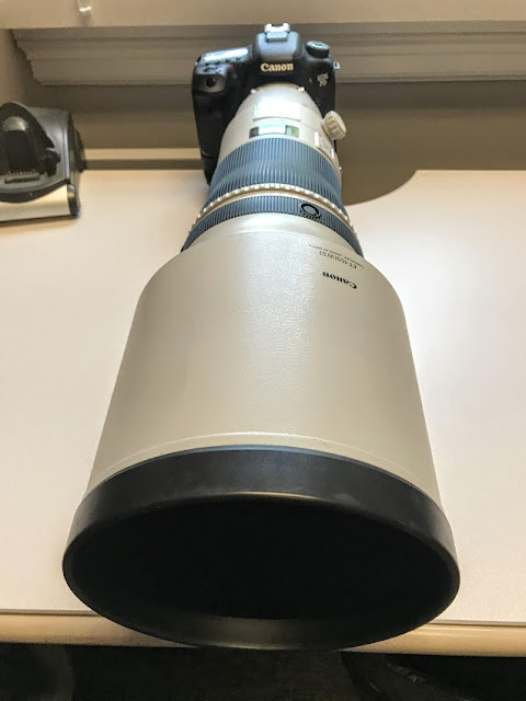 Review: The Canon EF 400mm f/2.8L IS II USM | Matt Cuda Nature ...