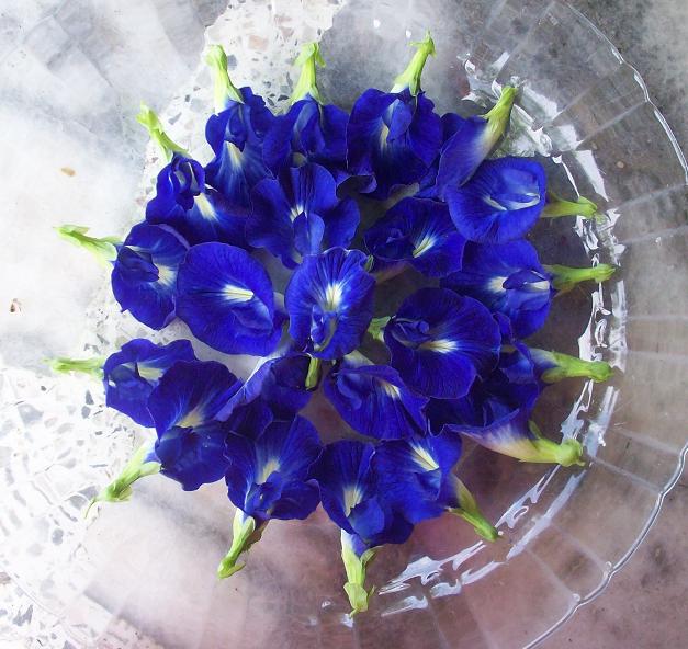 Semua Menjadi: Gubahan Bunga Telang Biru