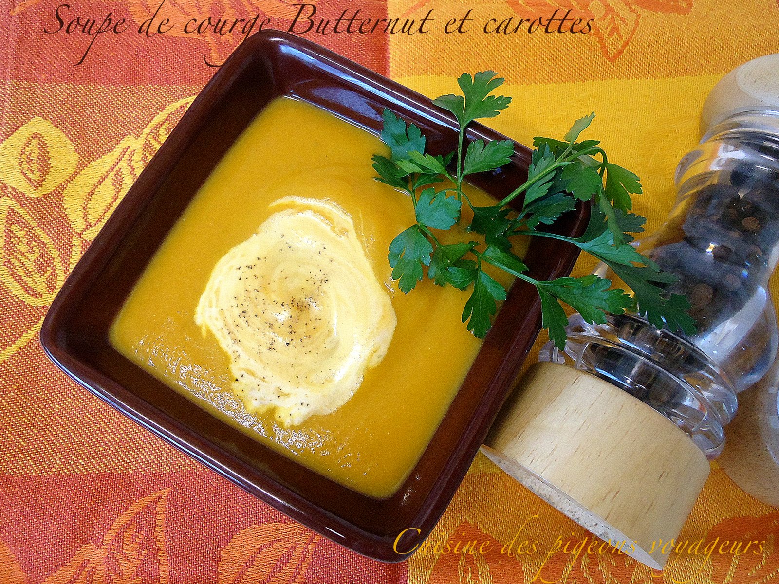 C@hier de recettes...des pigeons voyageurs!!: Soupe de courge Butternut ...