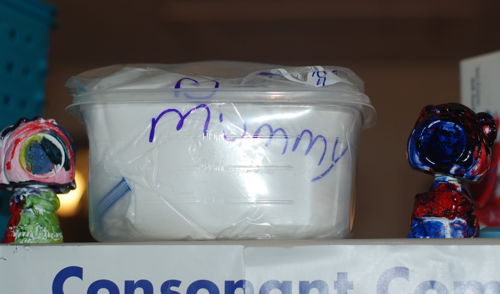 School of Monkeys: Chicken Mummy - Living History Lessons