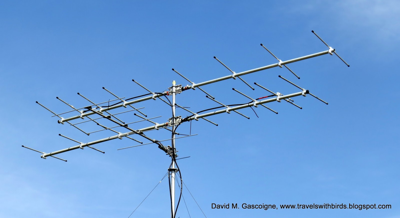 Installation of a MOTUS Tower at SpruceHaven - Travels With Birds