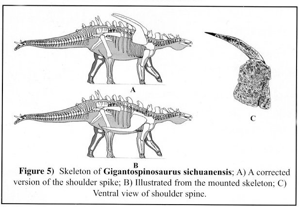 Species New to Science: [Paleontology • 1992] Gigantspinosaurus ...