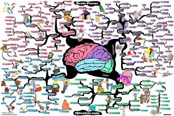 NeuroDojo: “Neuroscience! Because Alzheimer’s!”