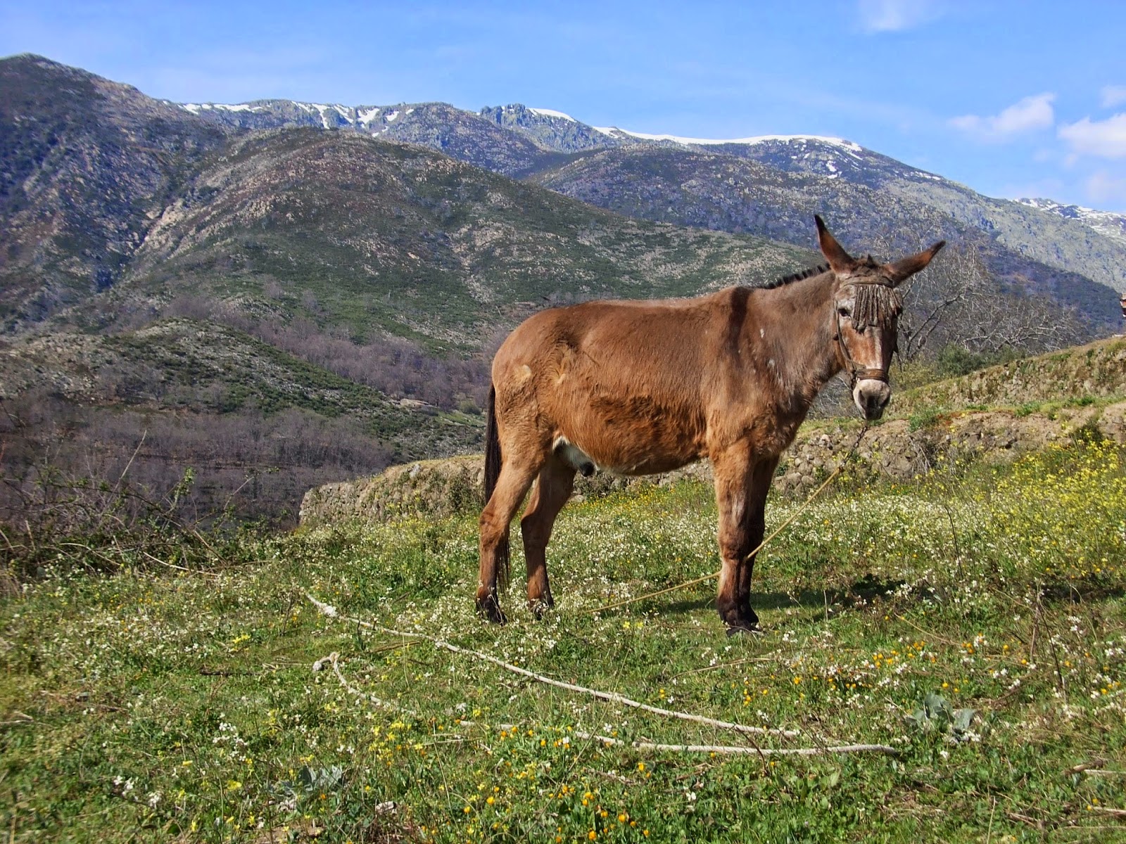 El blog de lenamanzanedo.com: 2018