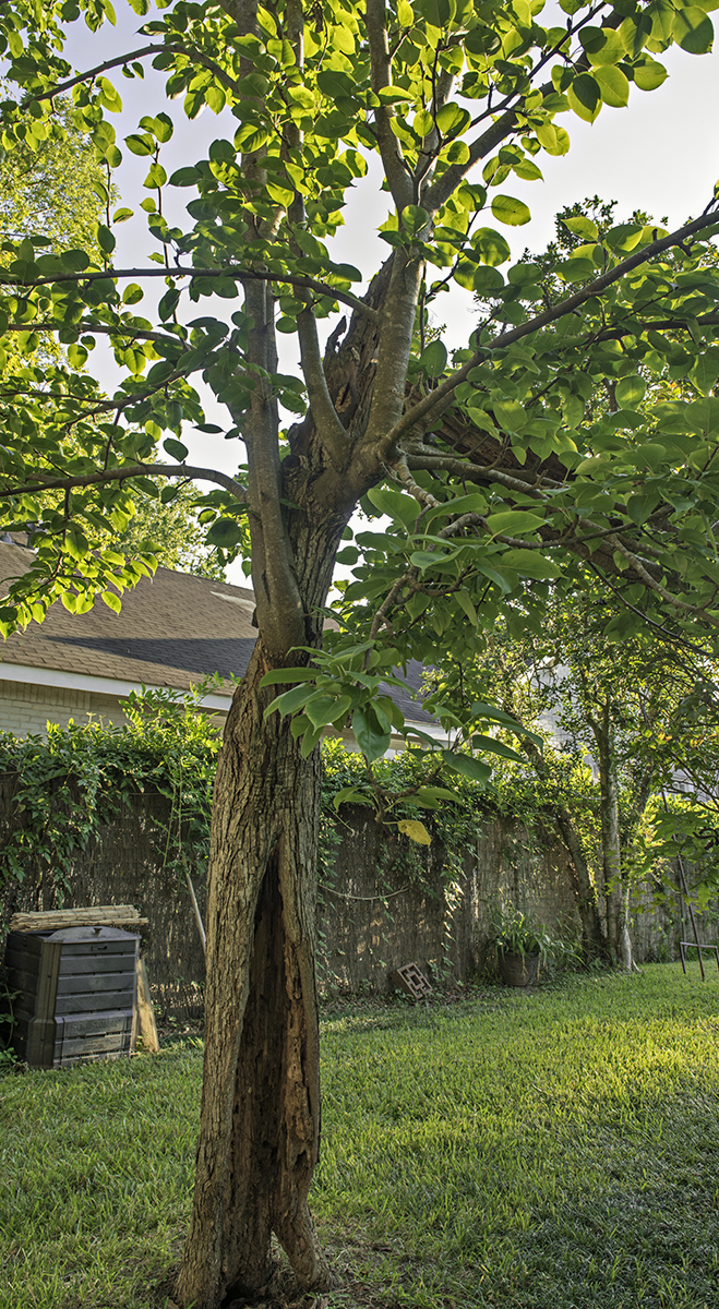 Lynne Buchanan's Climate Reality Posts: My Friend Sally’s Greatest ...