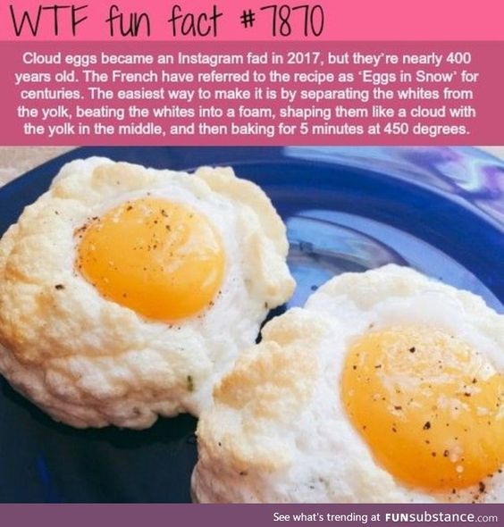 60 Amazing Random Facts | Amazing WTF Facts