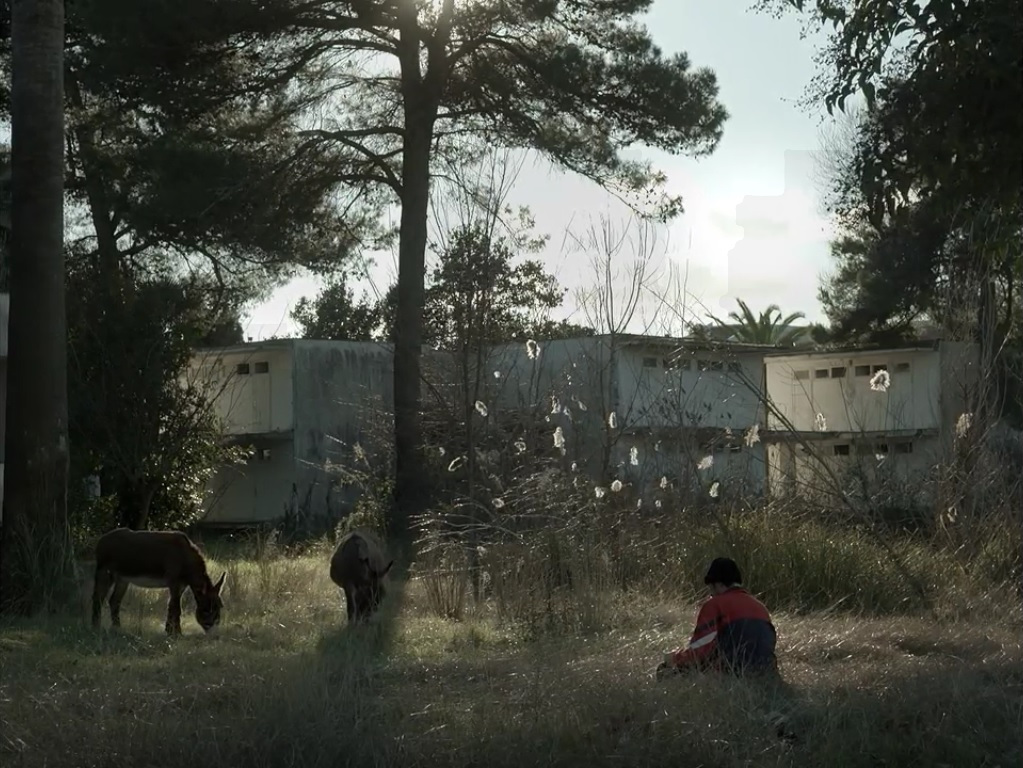 SCREEN ON SCREEN: REVIEW - ALL THE CITIES OF THE NORTH (DANE KOMLJEN)