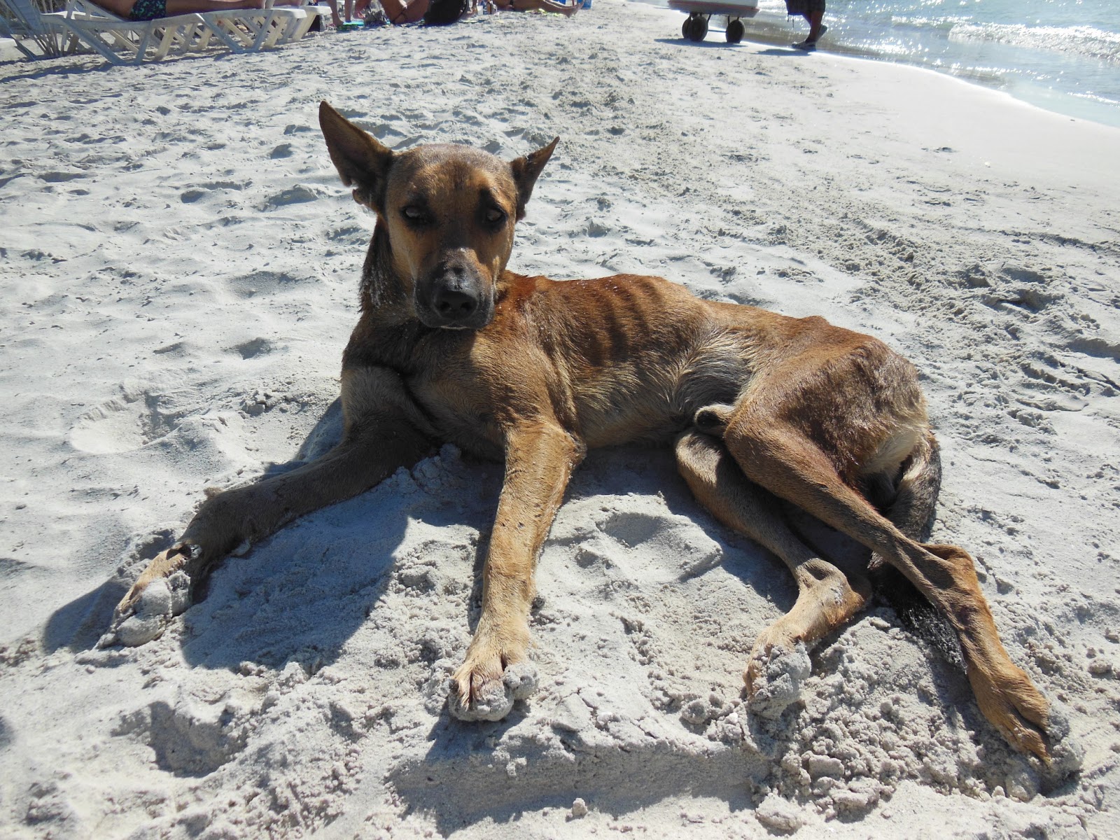 Duke's Excellent Adventure!: What IS the Secret of Monkey Island?