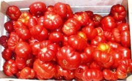 Scoala de bucatarie italiana: Rosii din Sicilia