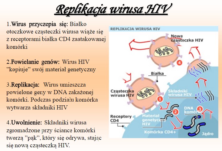 Biology is life: Wirusy