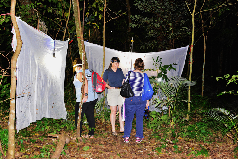 BunyipCo: Moth Night 2016