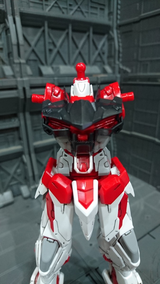 DuelMasterNG Gunpla: Astray Red Frame Mars Jacket (Daban MG 1/100)