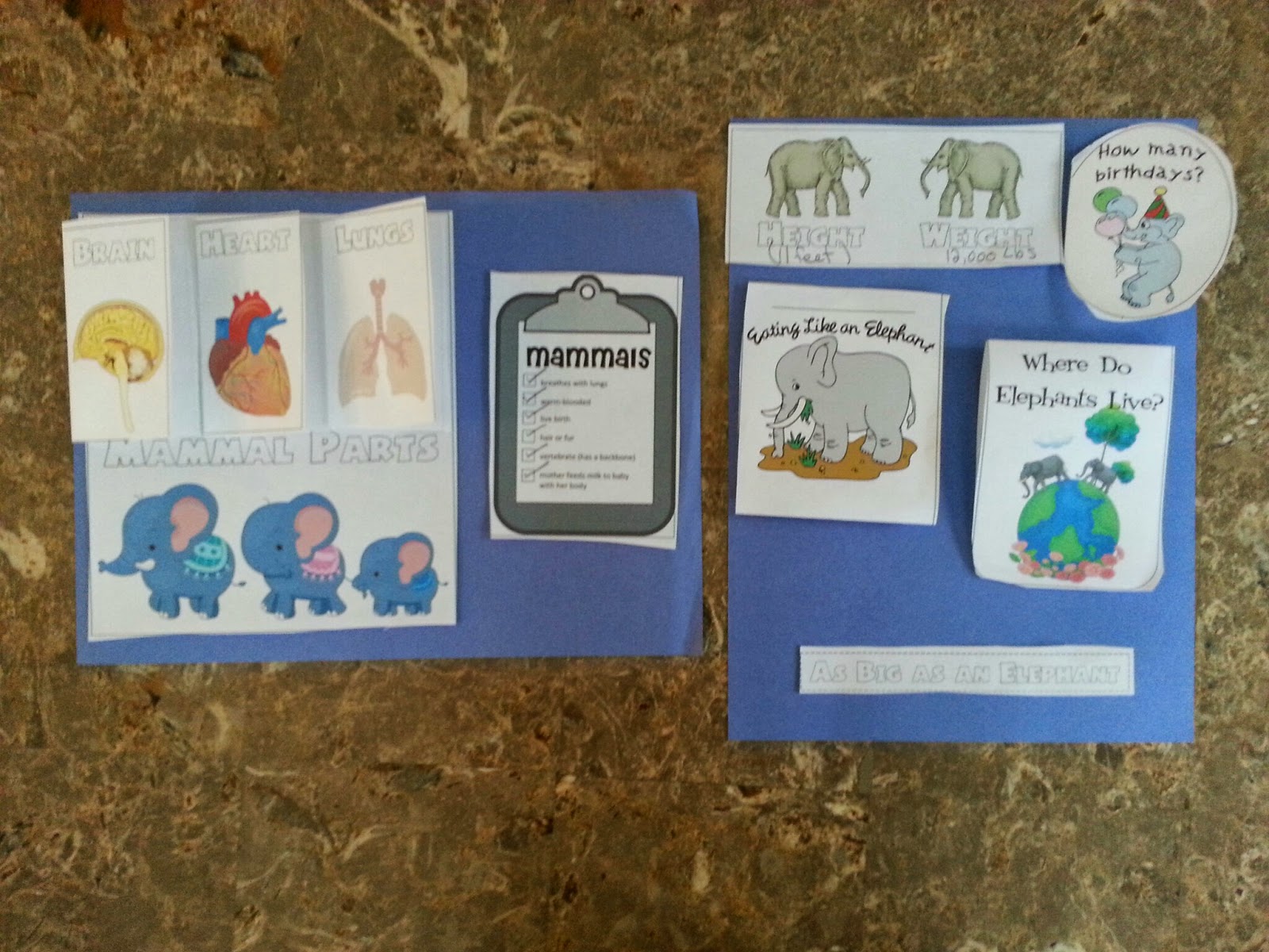 Love Life Laugh Learn: BABAR, To Duet or Not to Duet