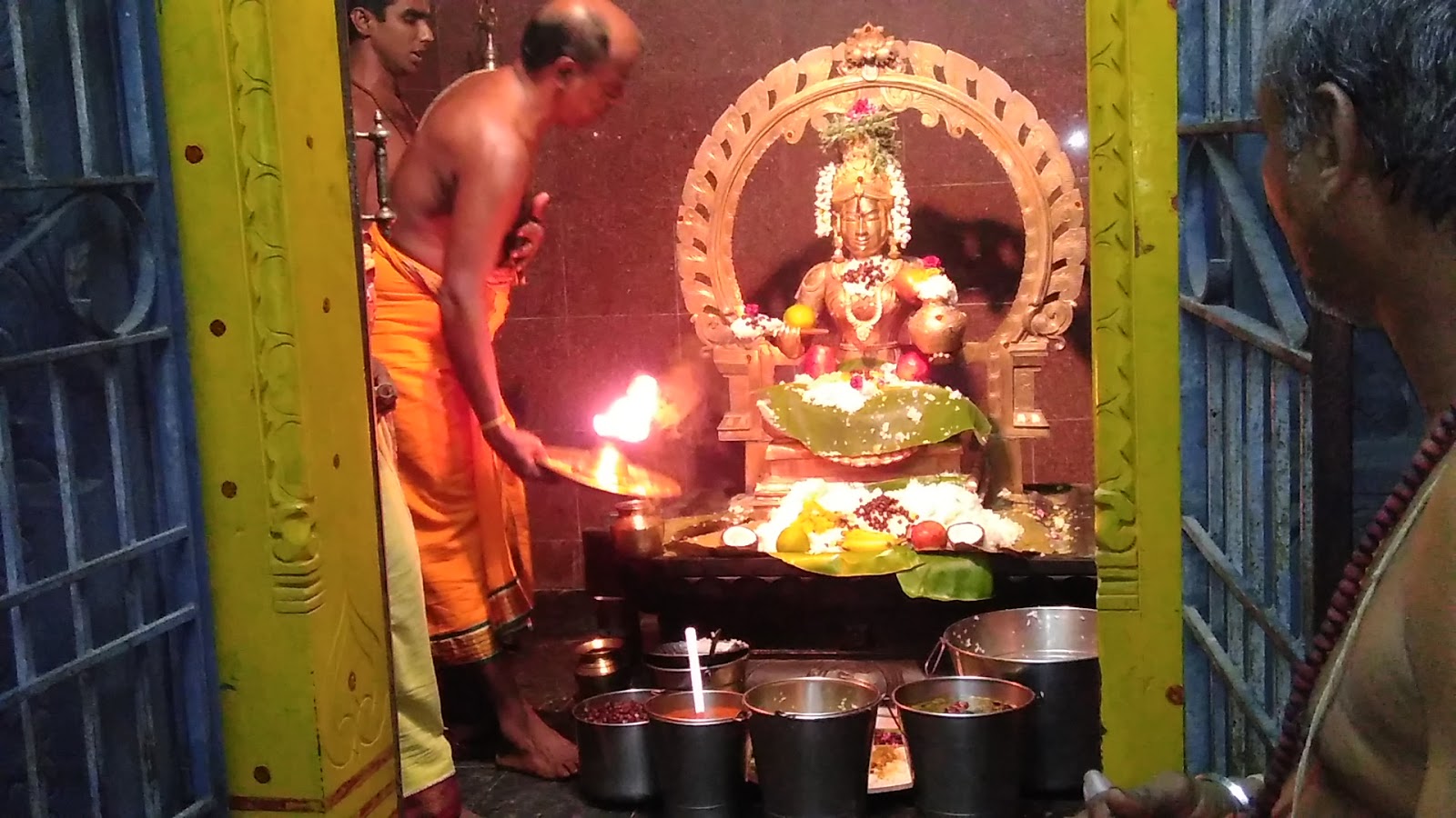 Danvantri Peedam - Universal Peedam: தன்வந்திரி பீடத்தில் பௌர்ணமி விழா