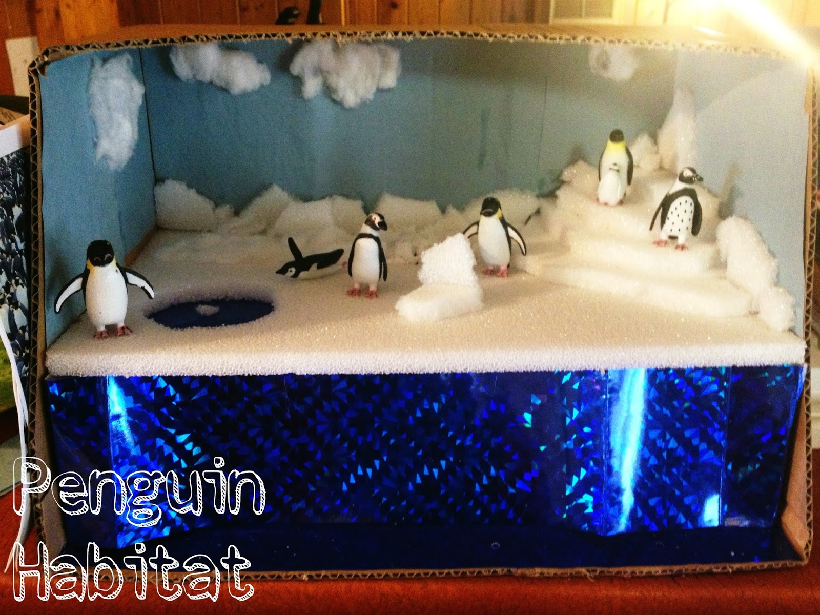 Penguin Habitat Shoebox Project