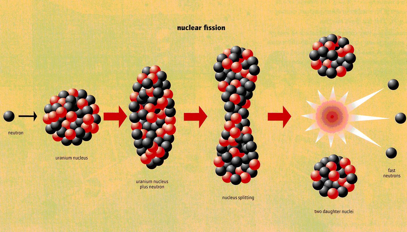 Questione della decisione: Come funziona una centrale nucleare a fissione