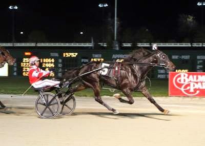 DarkeJournal.com: THE DARKE COUNTY AGRICULTURAL SOCIETY WELCOMES ...