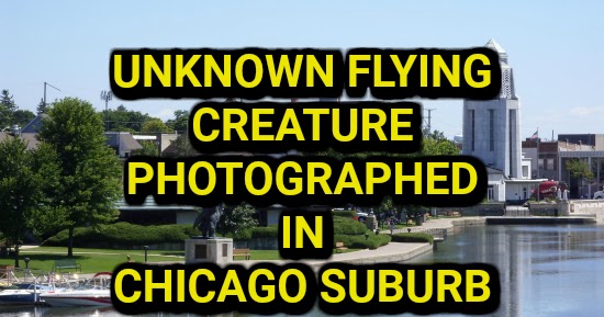 Phantoms and Monsters - Real Cryptid Encounter Reports - Fortean ...