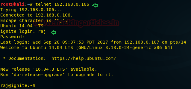 Penetration Testing On Telnet Port 23