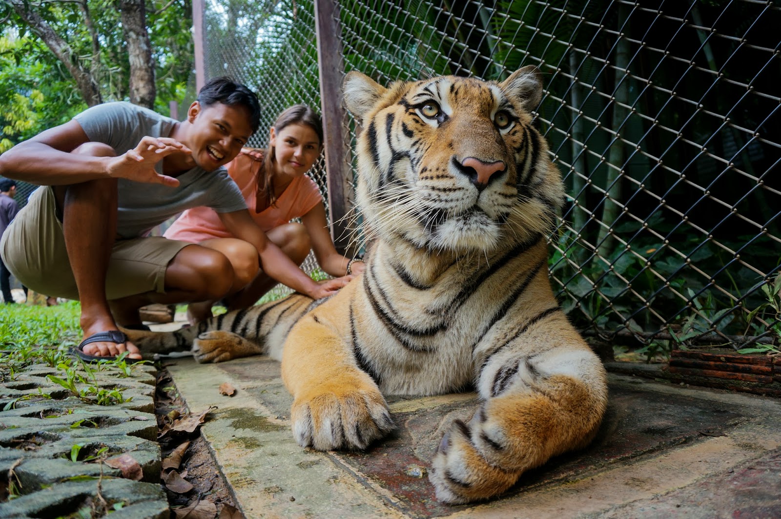 Passport Affairs: TIGER KINGDOM