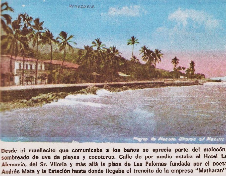 CARACAS EN RETROSPECTIVA: LOS PASEOS POR MACUTO