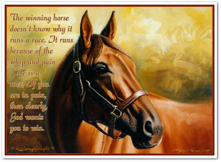 Love, Freedom & Truth: a word of encouragement :)