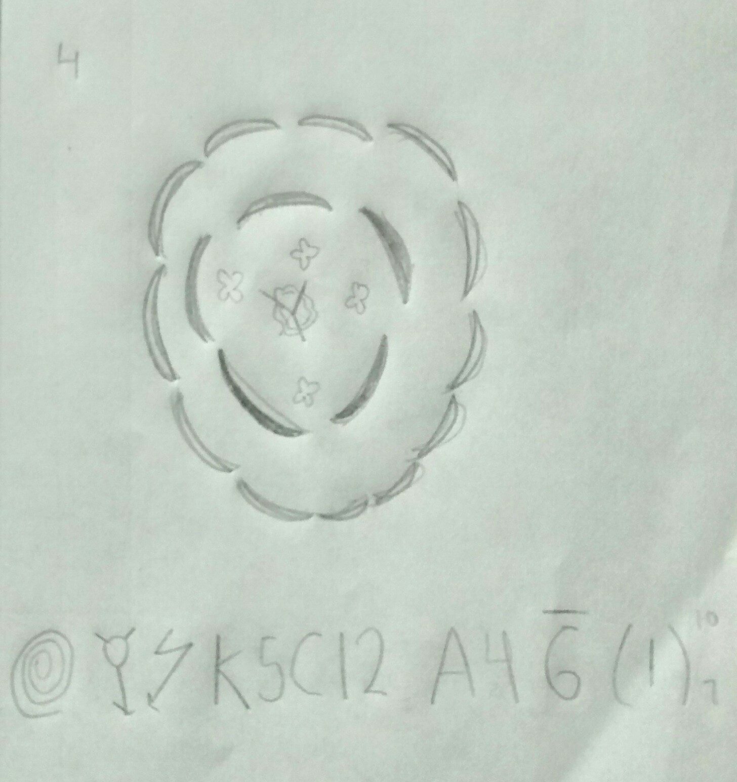 Botánica de las plantas vasculares : ESTRUCTURAS DE LA FLOR