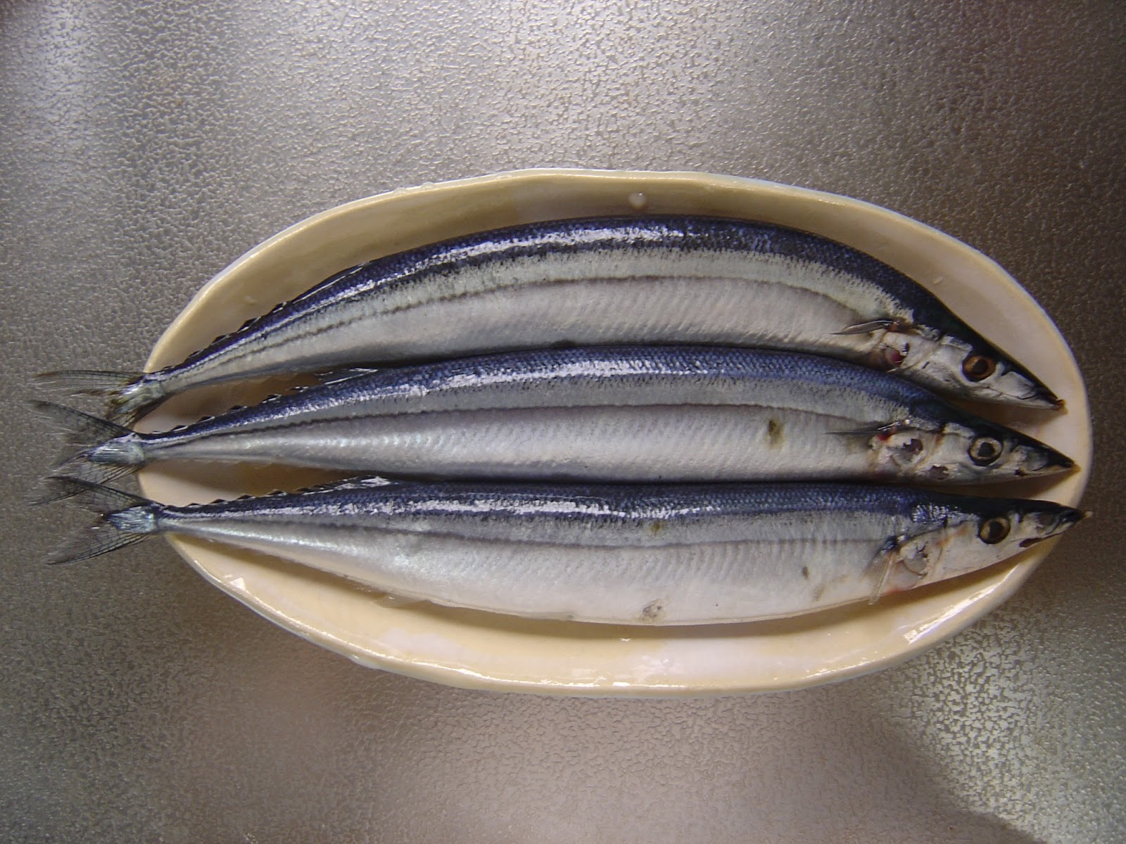 saury - images,videos about news