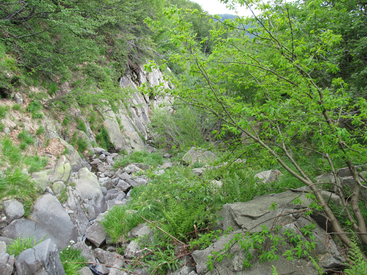 Escursionismo a 360°: Alpe Tre Potenze e Gomito (per il Lago del Greppo) EE