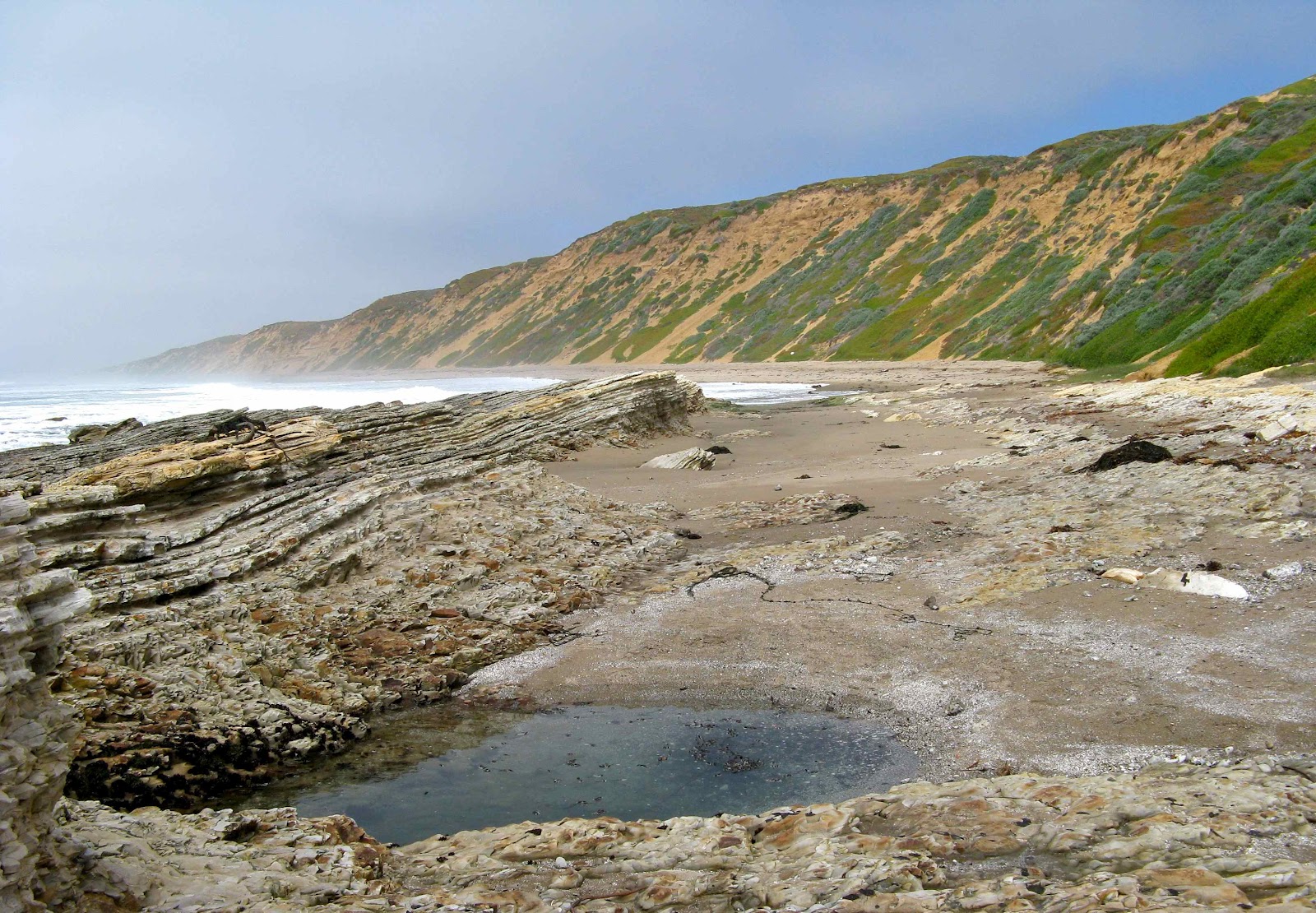 In the Company of Plants and Rocks: tafoni #3