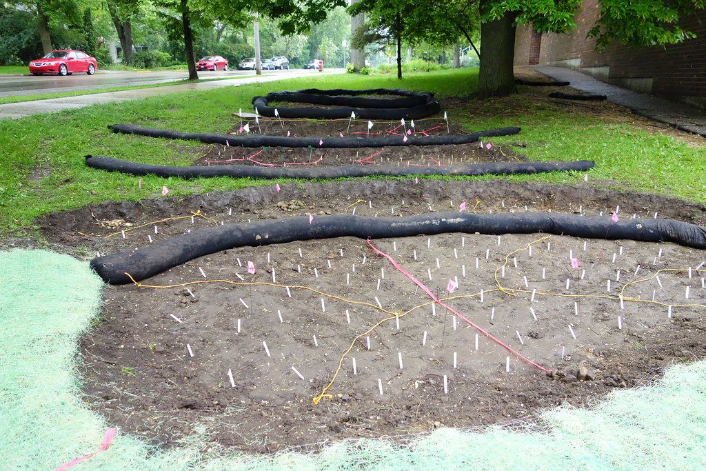 Rain Gardens in Dane County: How to build a large rain garden at a ...