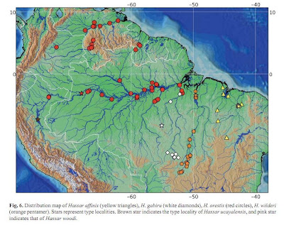 Species New to Science: [Ichthyology • 2011] Taxonomic revision of ...