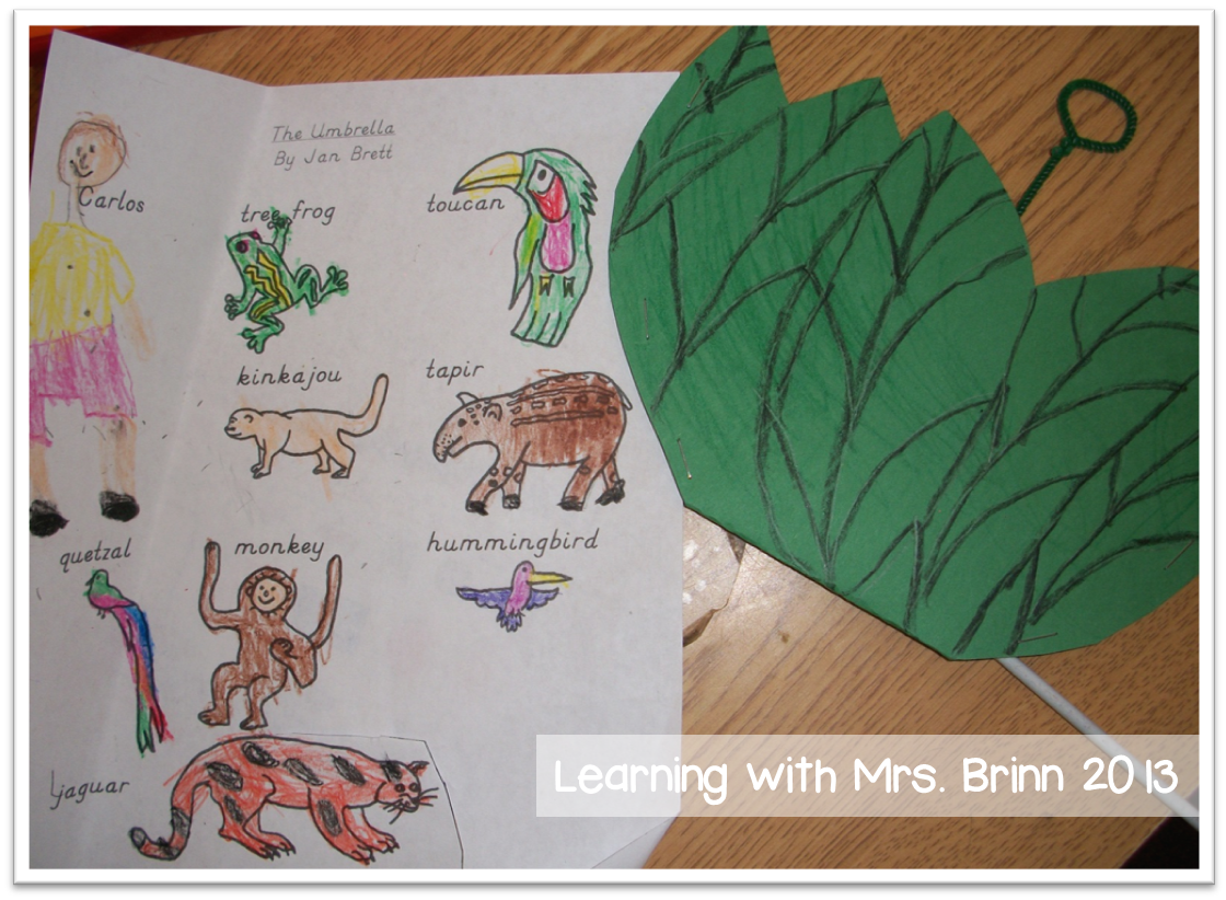 Riveting Rainforest Week - Learning With Mrs. Brinn