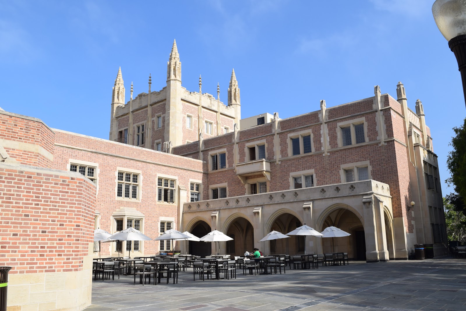 Travel for a Purpose: UCLA Campus around Election Walk Area