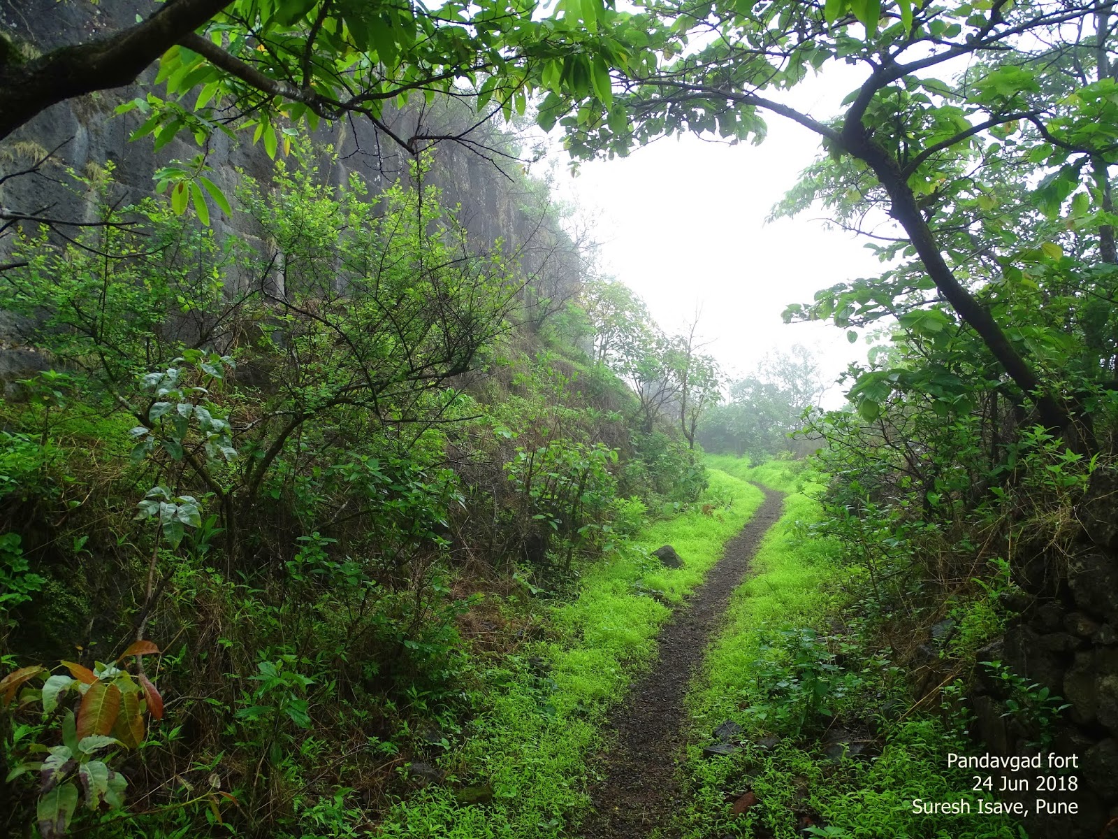 Treks in Sahyadri: Pandavgad Fort Trek