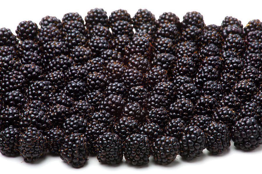 Fruit For The Office: August 2011