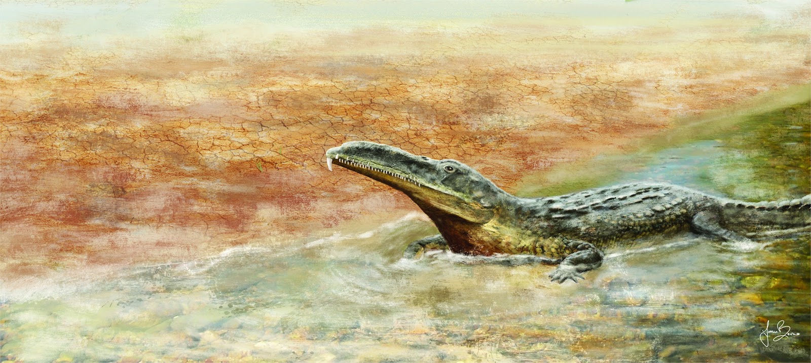 Lusodinos- Dinossauros de Portugal: Os vertebrados fósseis do Algarve ...