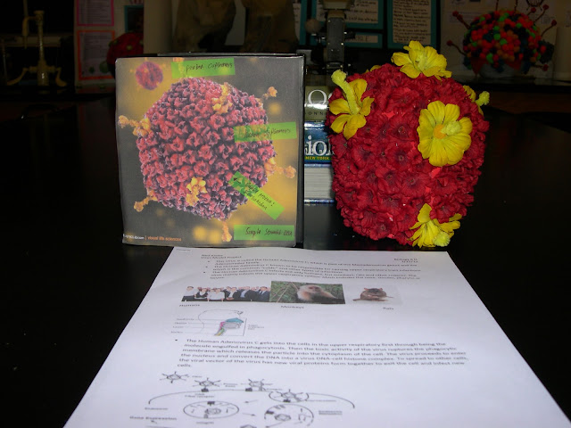 Bronxville Science Department: Honors Biology II Virus Projects