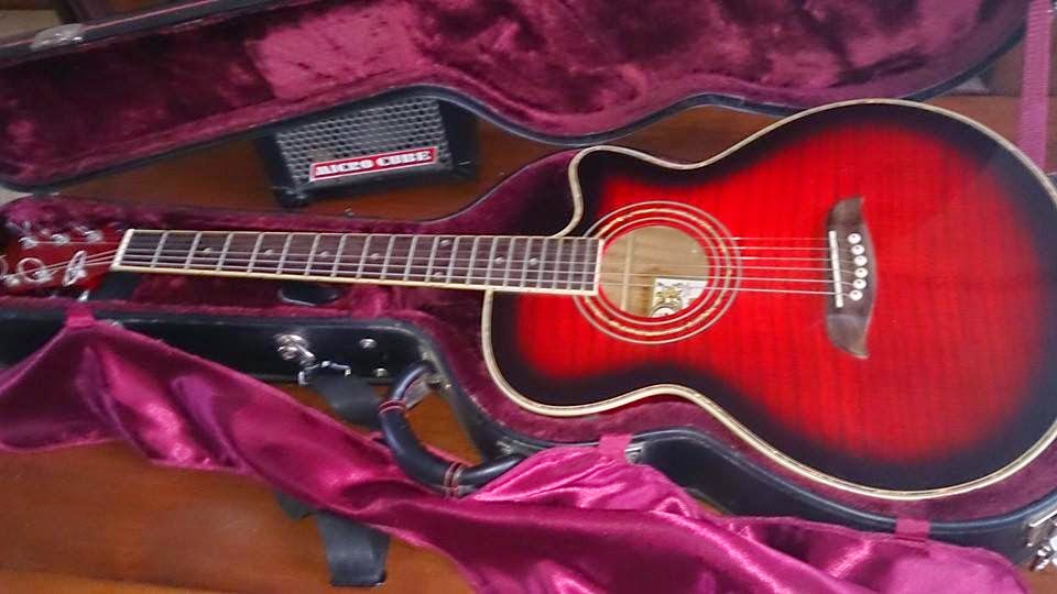 LIVING LIFE IN COSTA RICA blog: Acoustic GUITAR • Guitarra Acustica ...