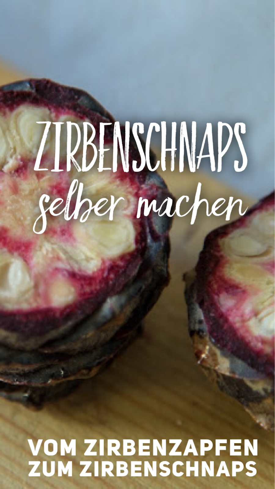 Zirbenschnaps selber machen | Vom Zirbenzapfen zum Zirbenschnaps