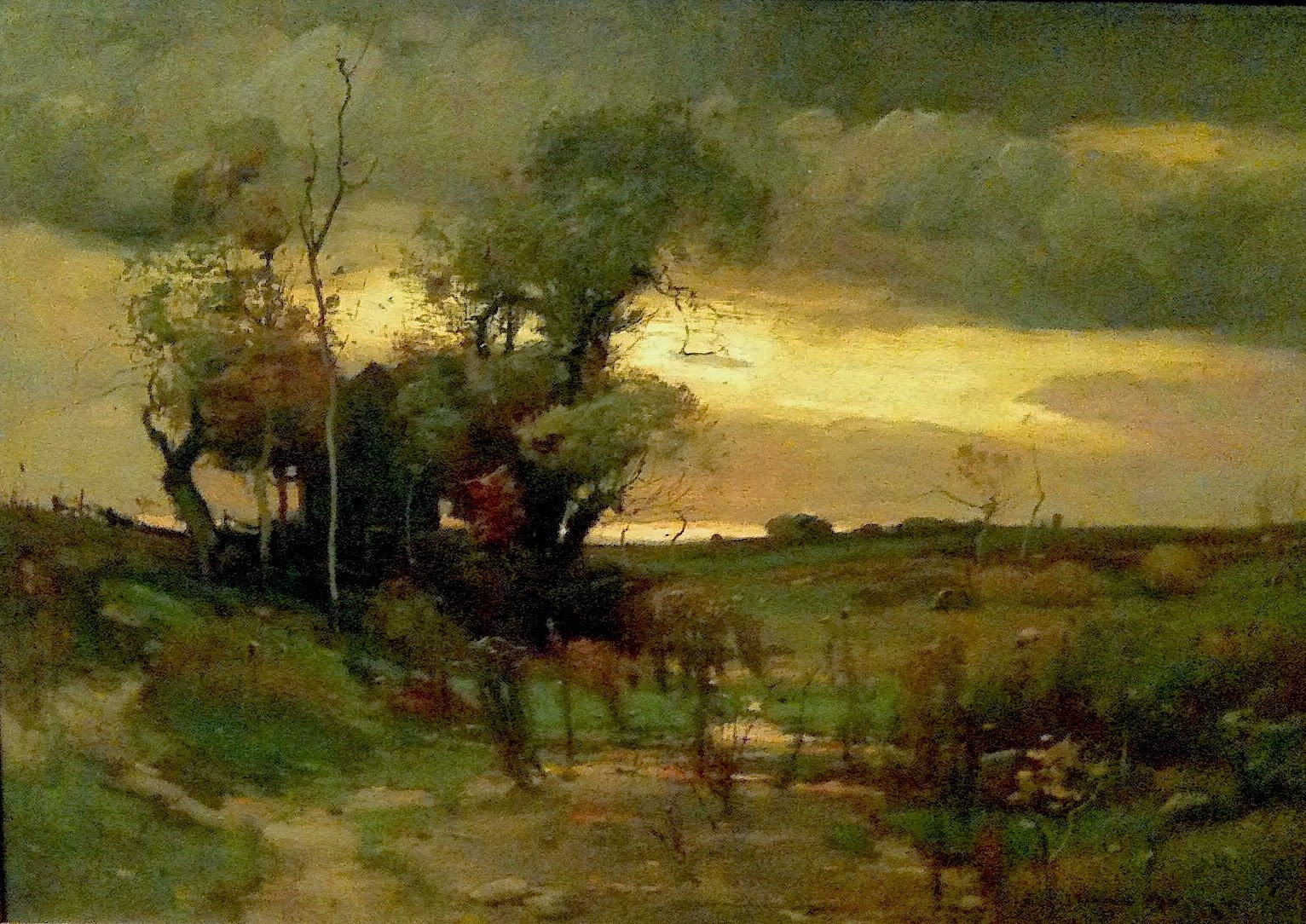 Illuminaries: John Francis Murphy