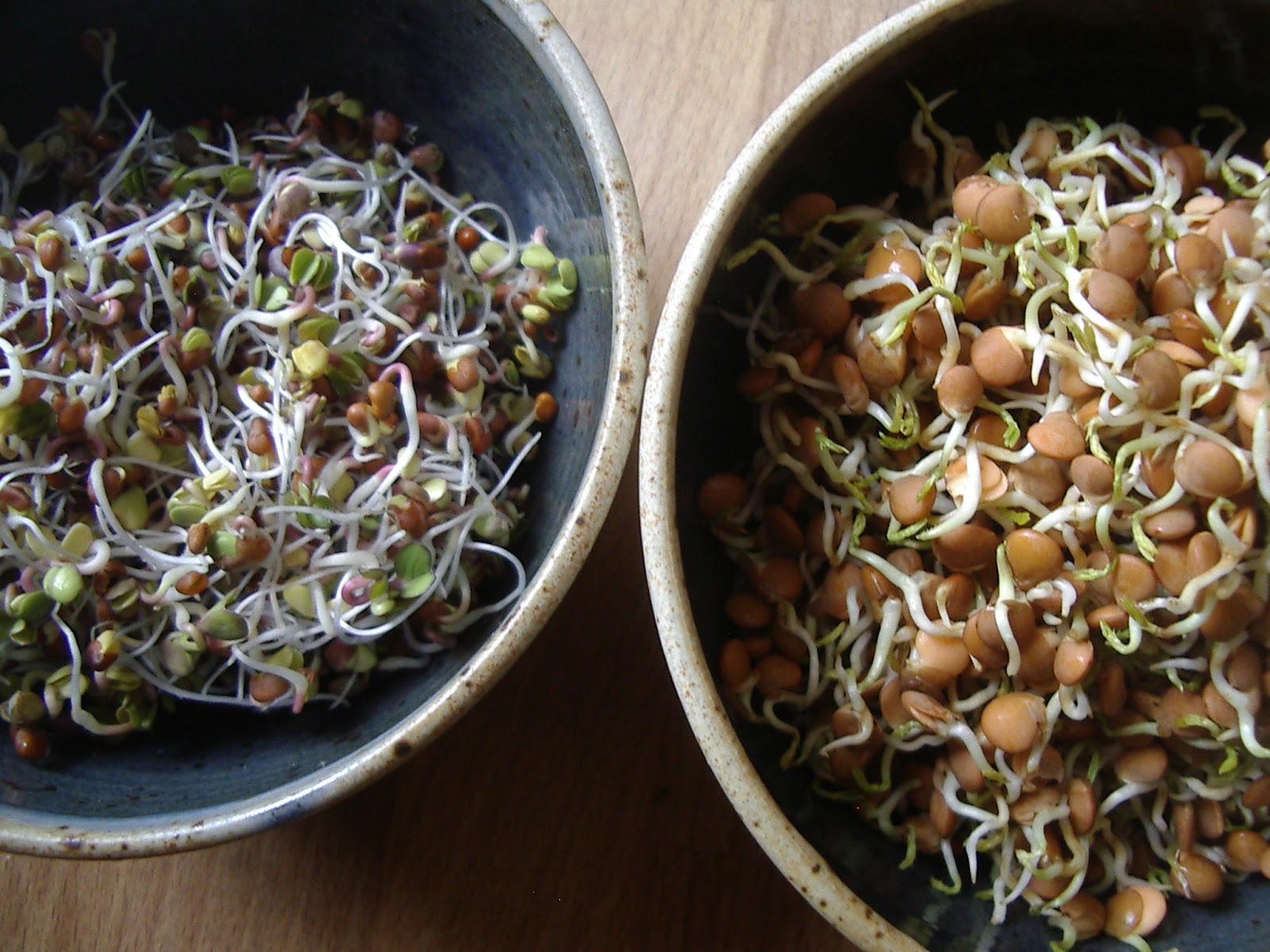 Little Sprouts Kitchen at Margaret Burgin blog