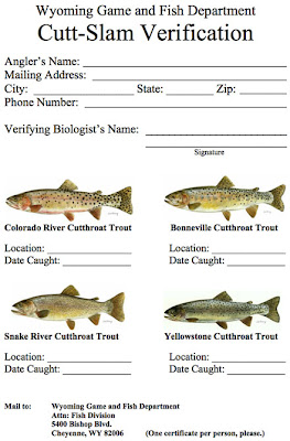 Dubois WY Fly Fishing Trips, Guided Fly Fishing Outfitters, Wind River ...