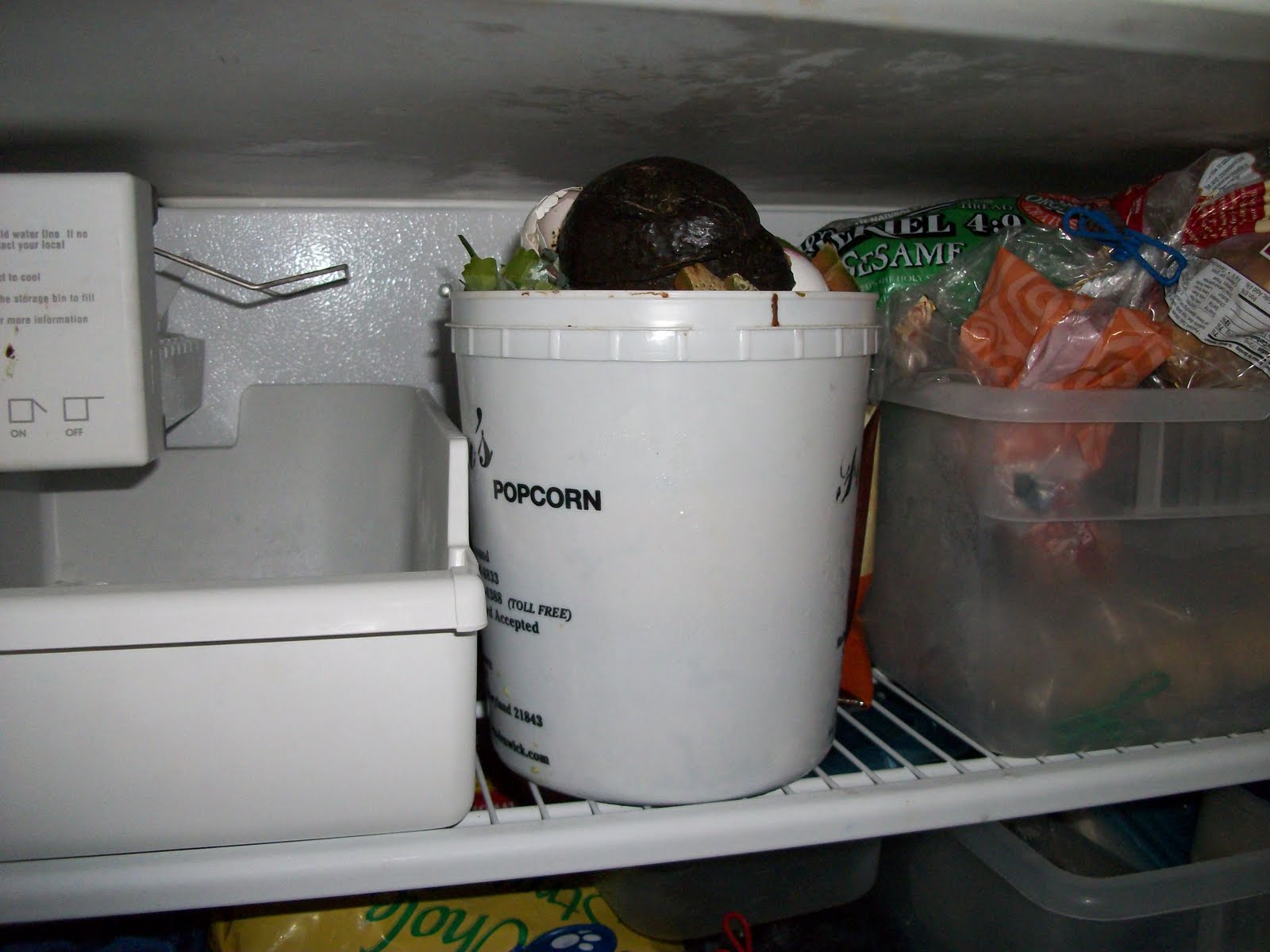 How to Start & Maintain a Backyard Compost | Family Balance Sheet