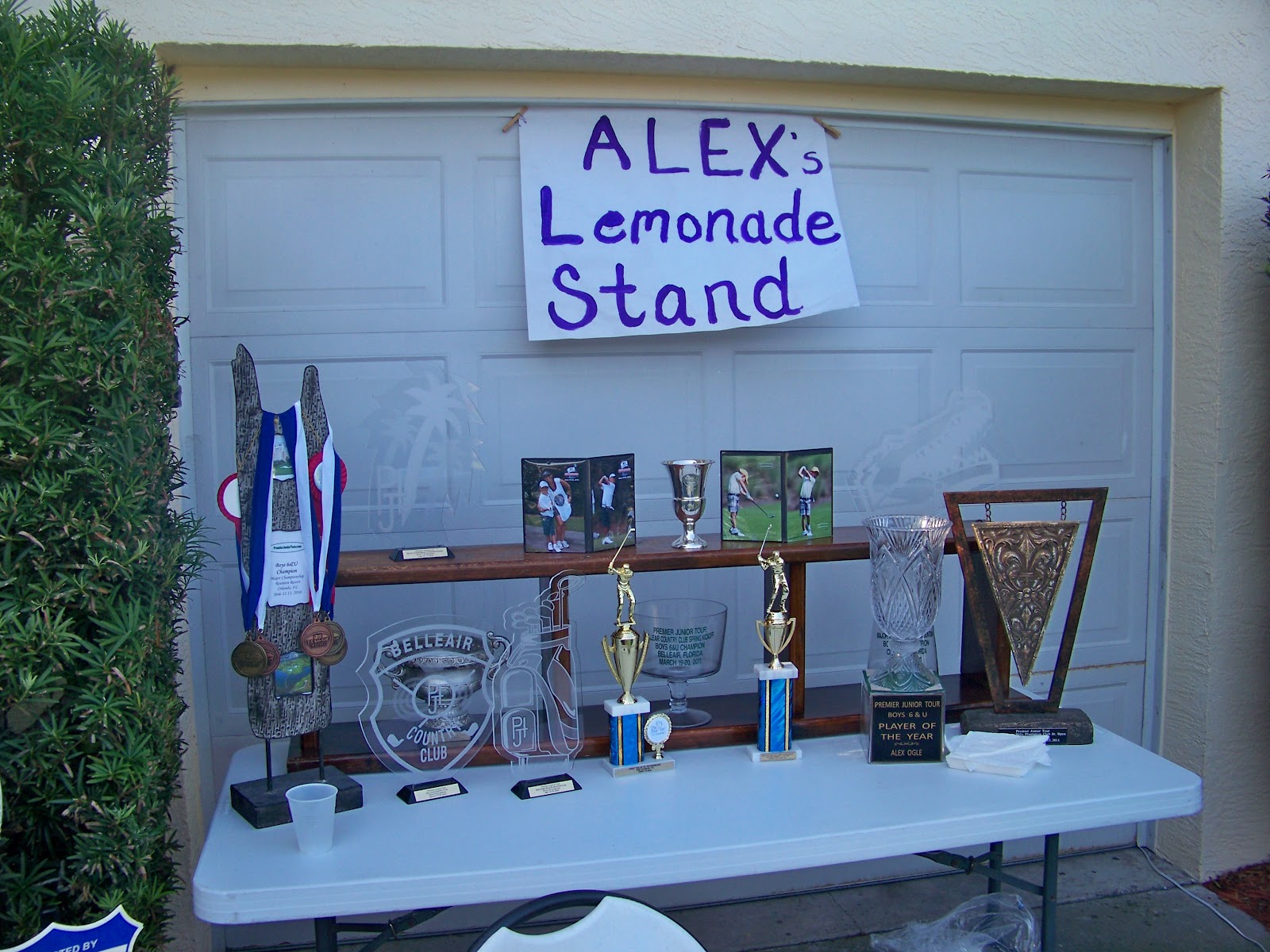 Driving Three Prince Girls: Alex's Lemonade Stand