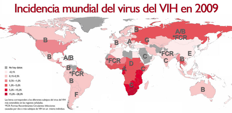 La vacuna española MVA-B contra el VIH logra una respuesta inmune del ...