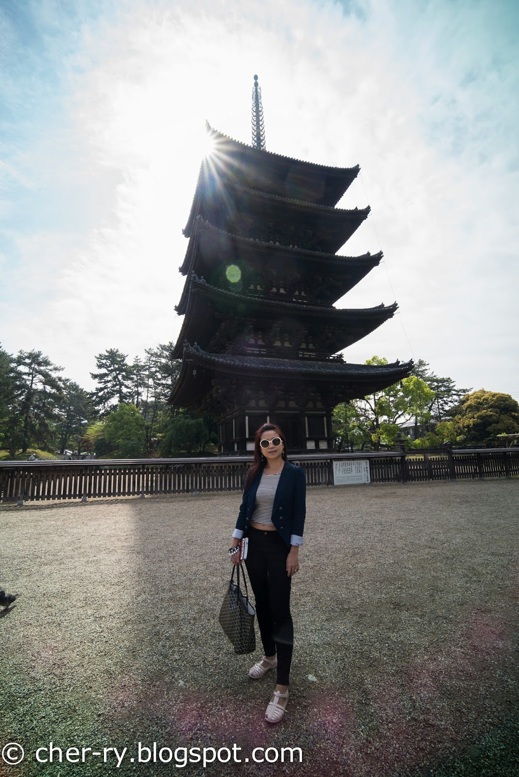 Life of a Lil Notti Monkey: Nara, Nara